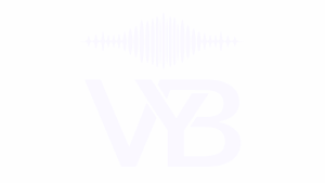 The Vyb – VYB